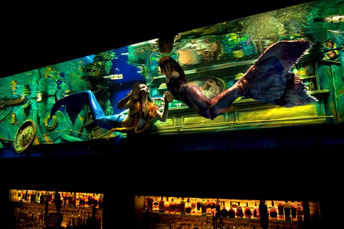 Mermaid Bar at Sacramento | Amusing Planet